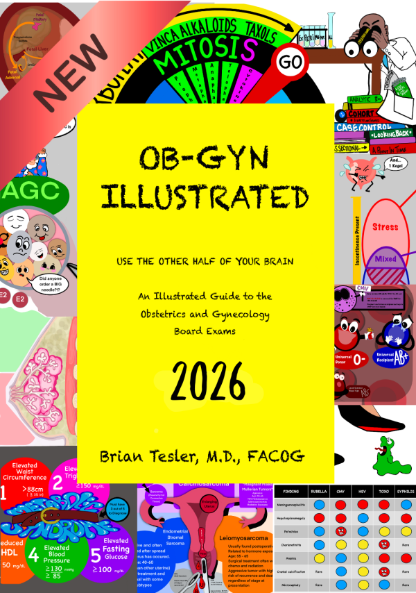 Ob Gyn Illustrated Guide Book